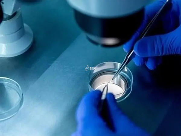 马来西亚阿尔法医院Eeson医生介绍 - 成就、口碑与挂号攻略 - 相因宝贝