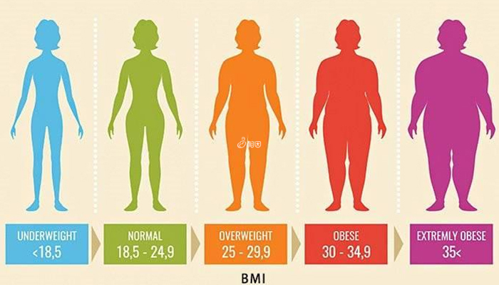 女性bmi指数标准对照表来袭，正常值范围&计算公式一览无余 - 相因宝贝